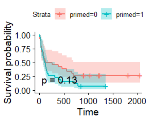 Killian Cimino - Projects